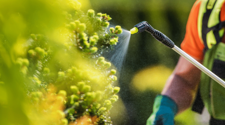 Biofertilizers and Biopesticides – The Future of Sustainable Farming ...